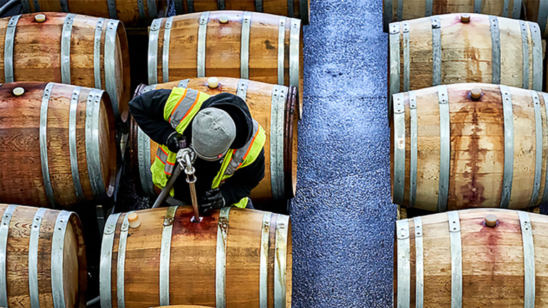 Peacebuilding For The Earth – Jubitz Family Foundation