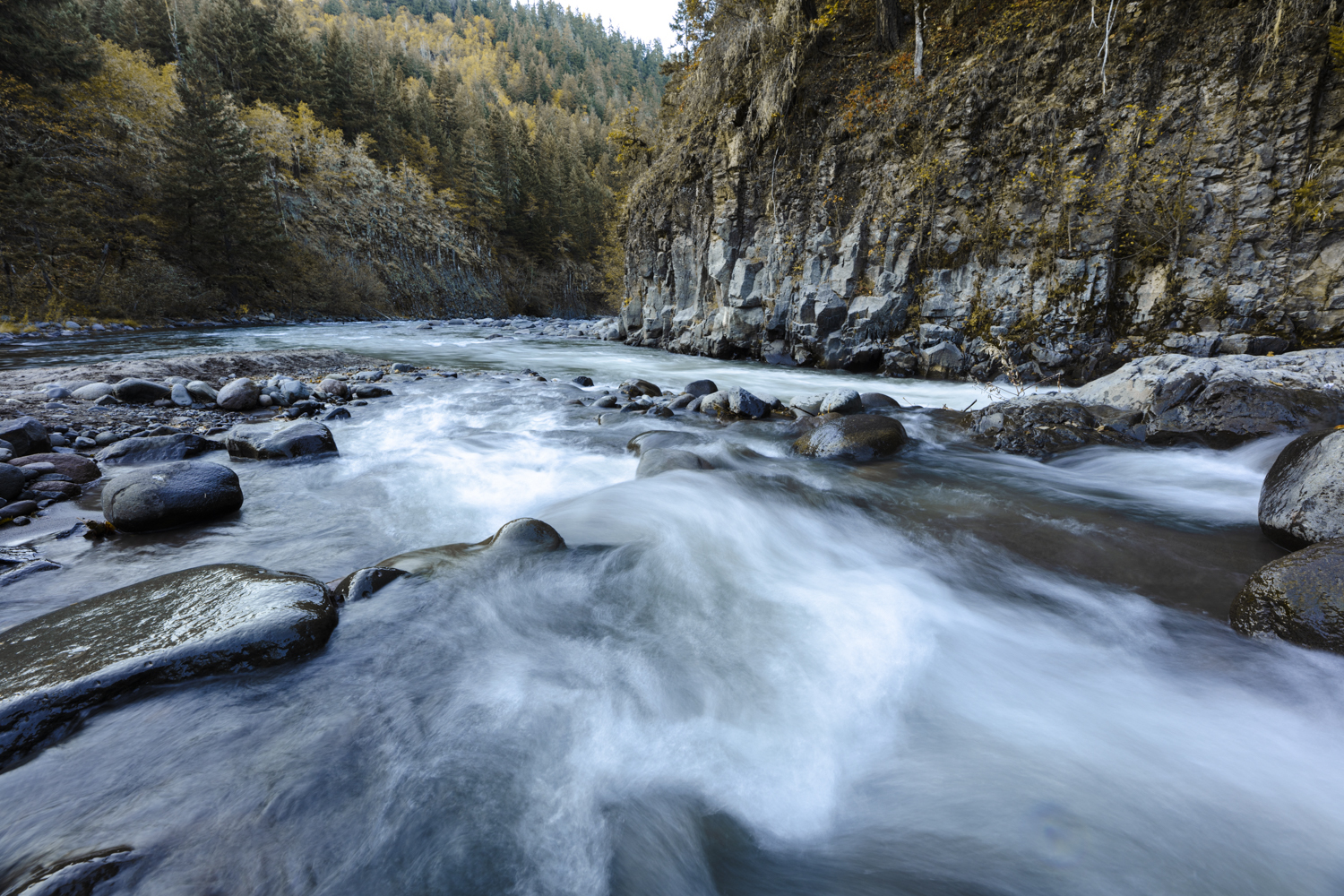 Environment – Jubitz Family Foundation